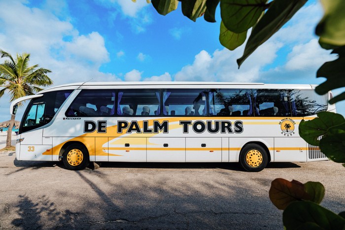Authentic Aruba Tour By Bus | De Palm Tours