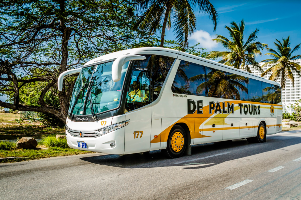 Aruba Sightseeing Bus Tour | De Palm Tours