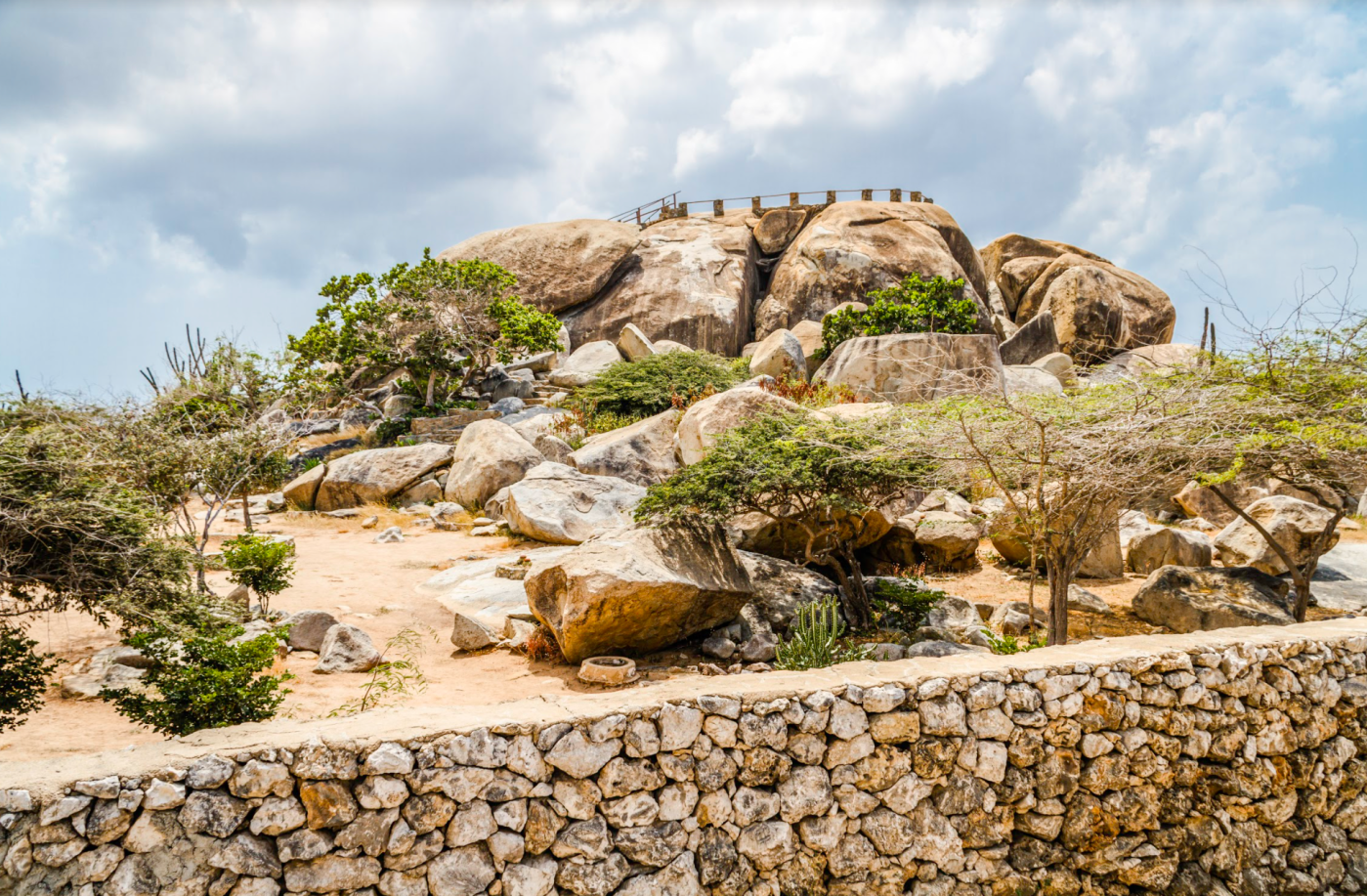 Our History | De Palm Tours