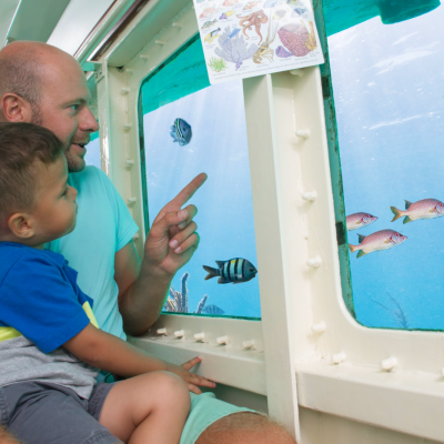 Aruba Seaworld Explorer Glass-sided boat | De Palm Tours