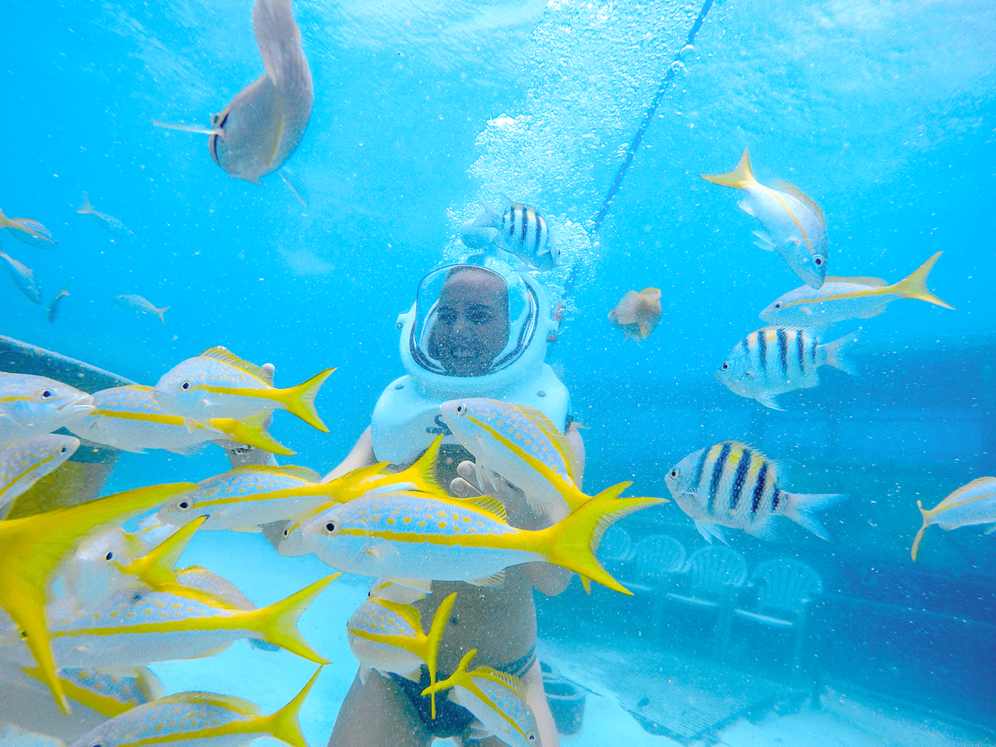De Palm Island, Aruba: A Reservoir Of Riches Above And Below Water By ...